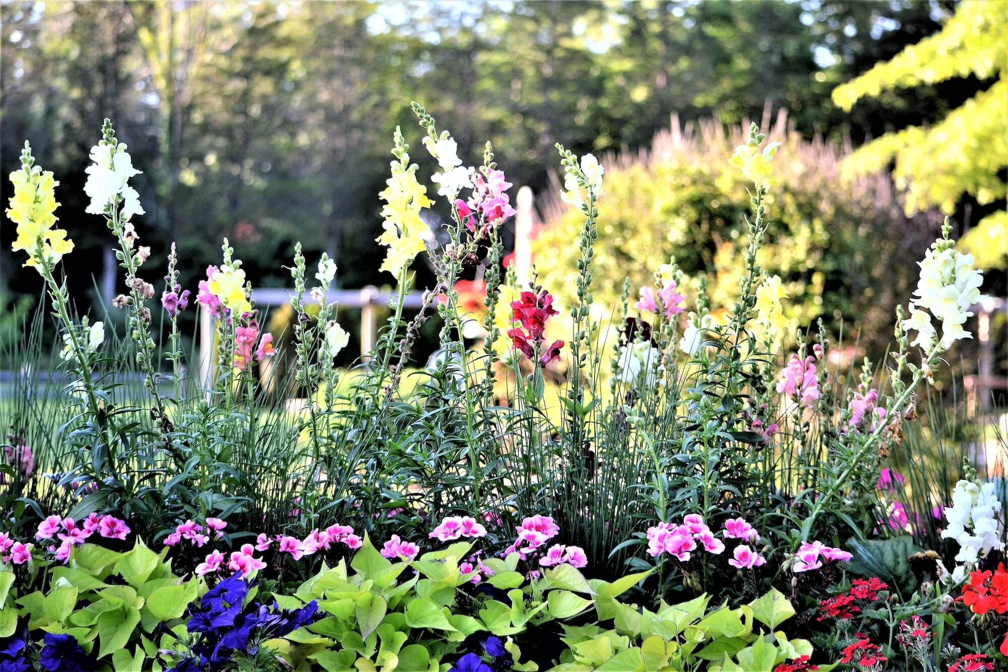 Gallery | Lawn & Landscape Projects – Kanger Lawns