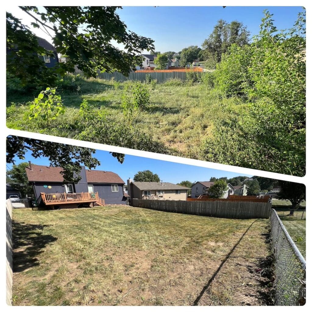 Comprehensive Yard Cleanup Services | Kanger Lawns